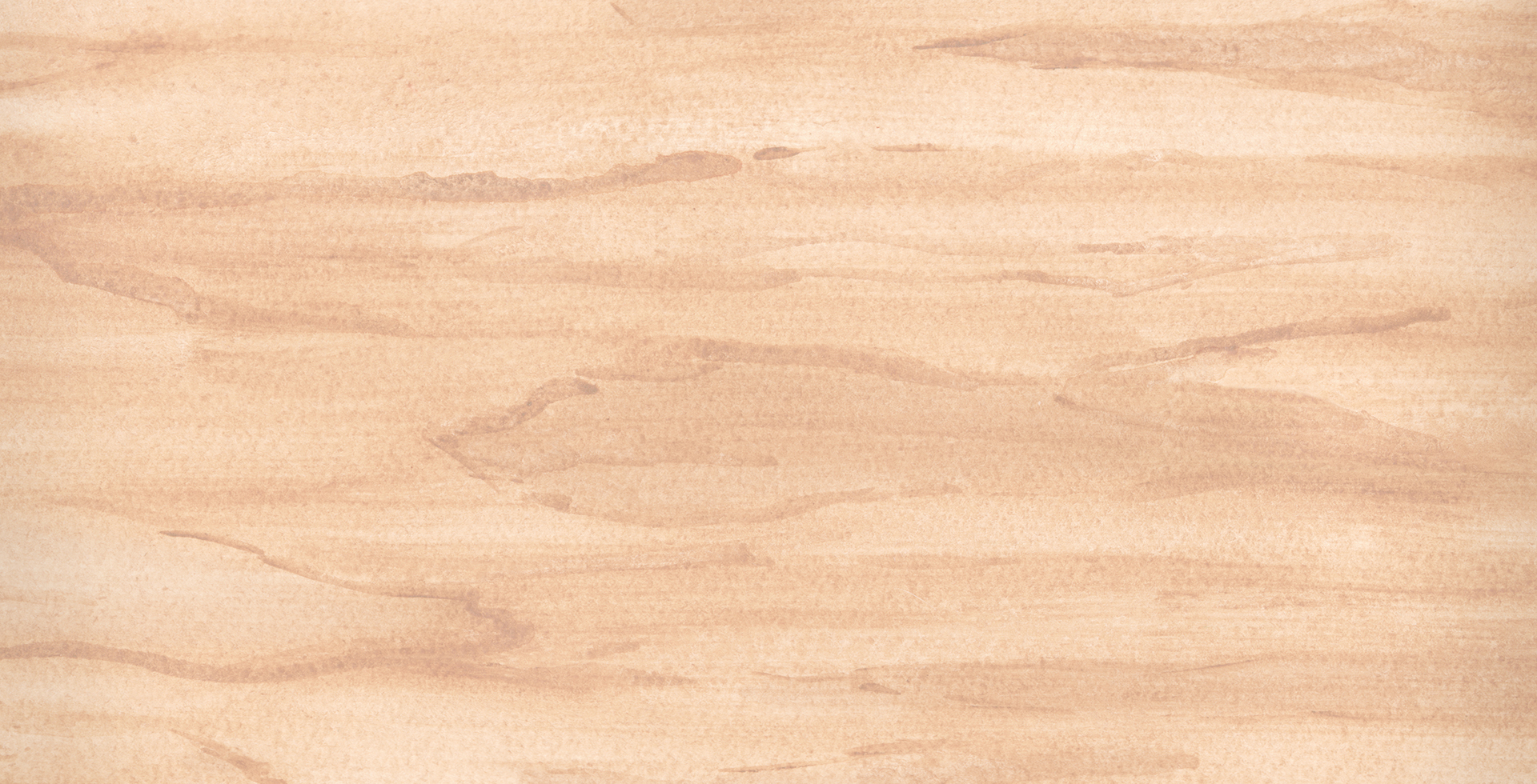 The SBL Vision Family Service Centre